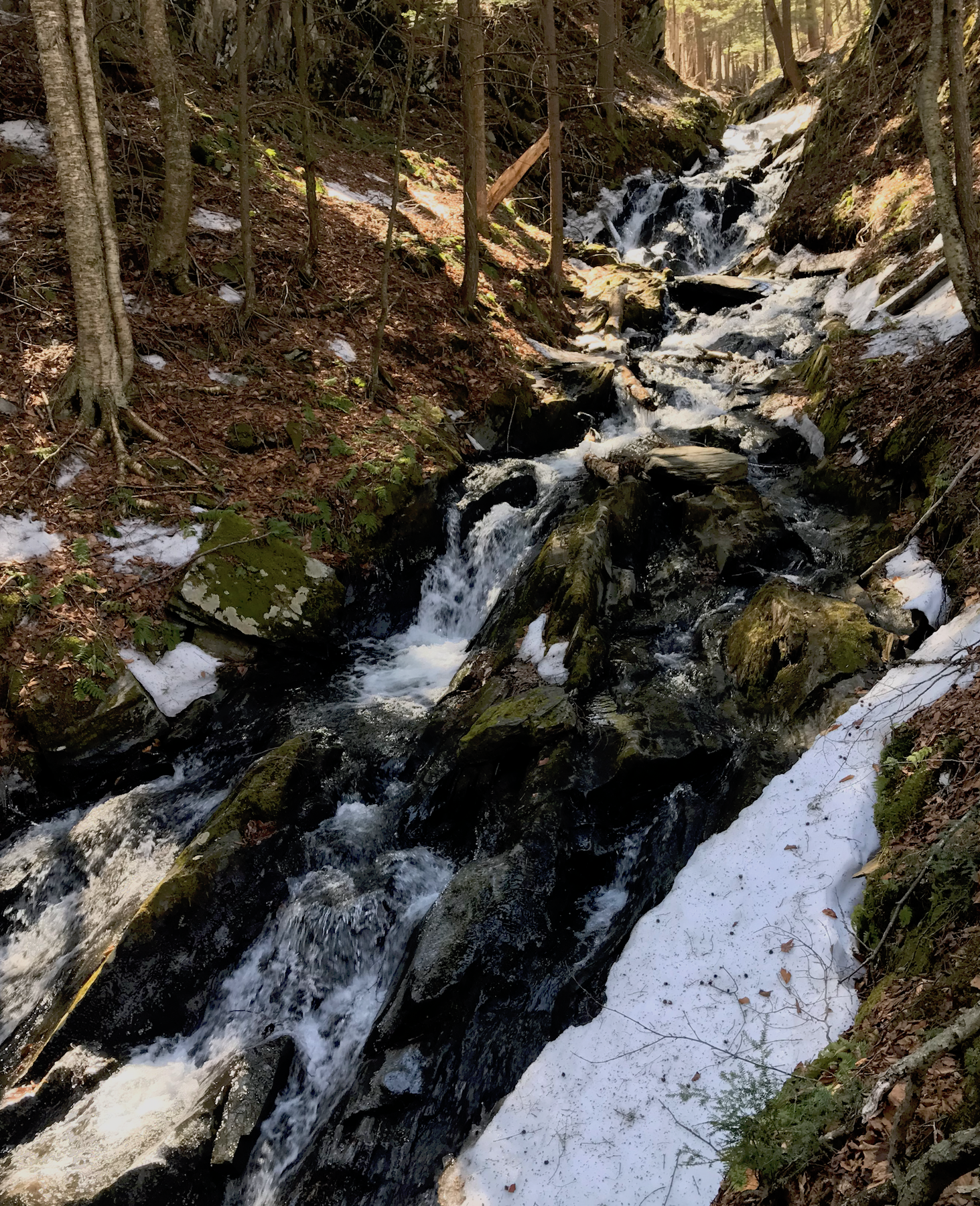 Discovery Tours in 2020 – Norwich Trails