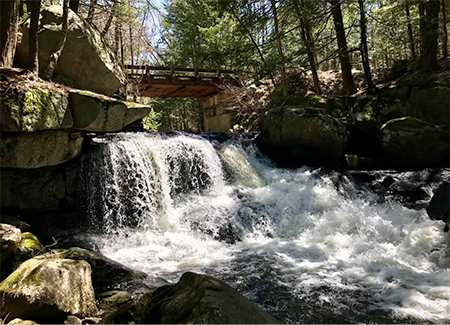 Hikes with Views in the Upper Valley – Norwich Trails