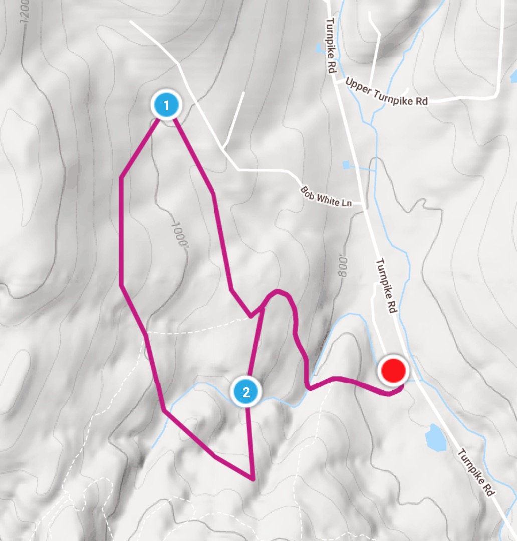 Brookmead Trails: Get lost and be found! – Norwich Trails