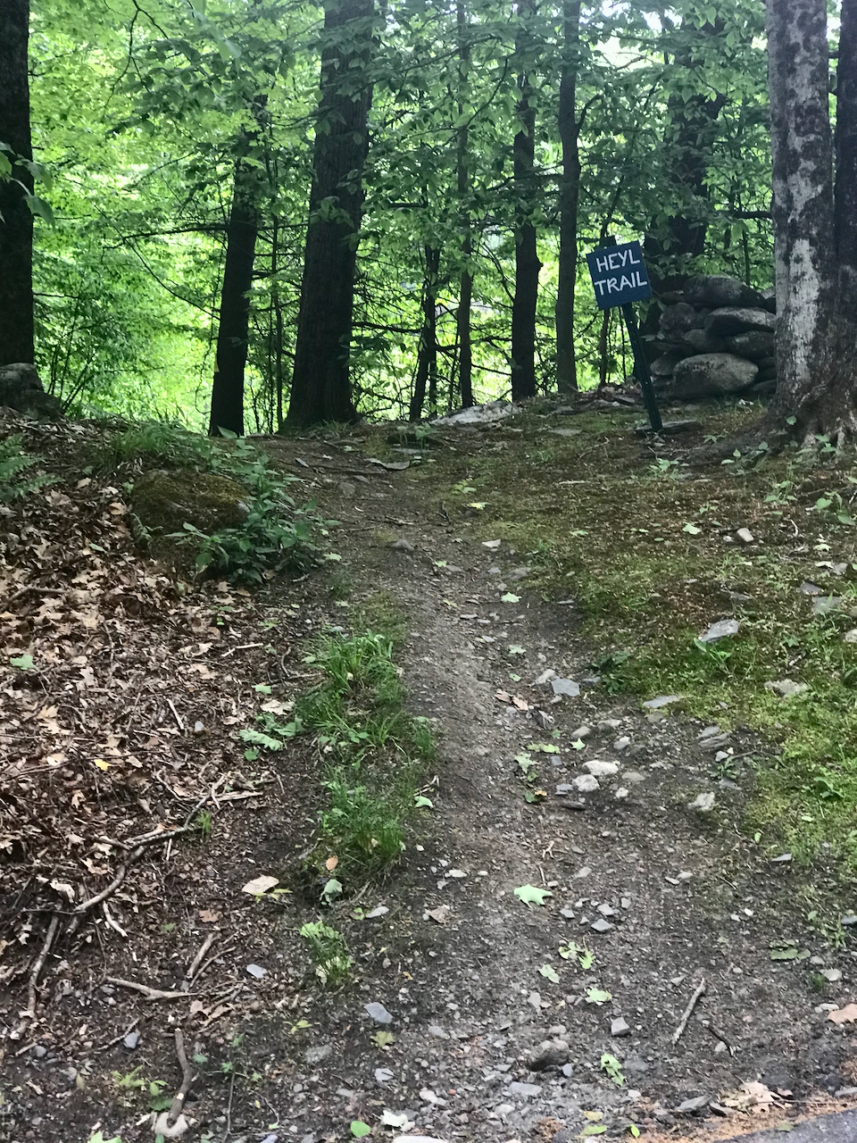 Work Day: Heyl Trail, June 6, 2020 – Norwich Trails