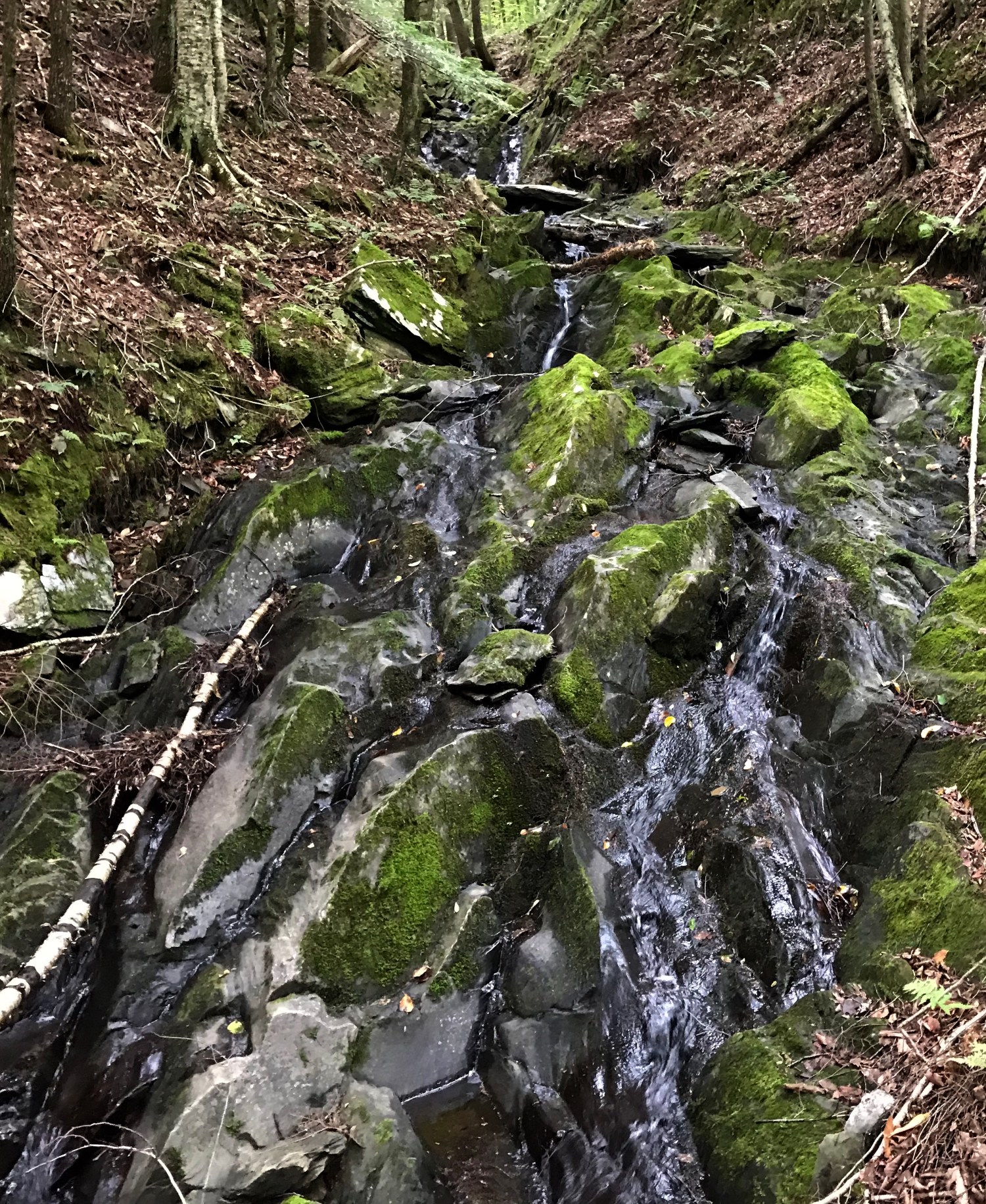 10-DiscoverUpperBallard-CanyonWaterfall – Norwich Trails