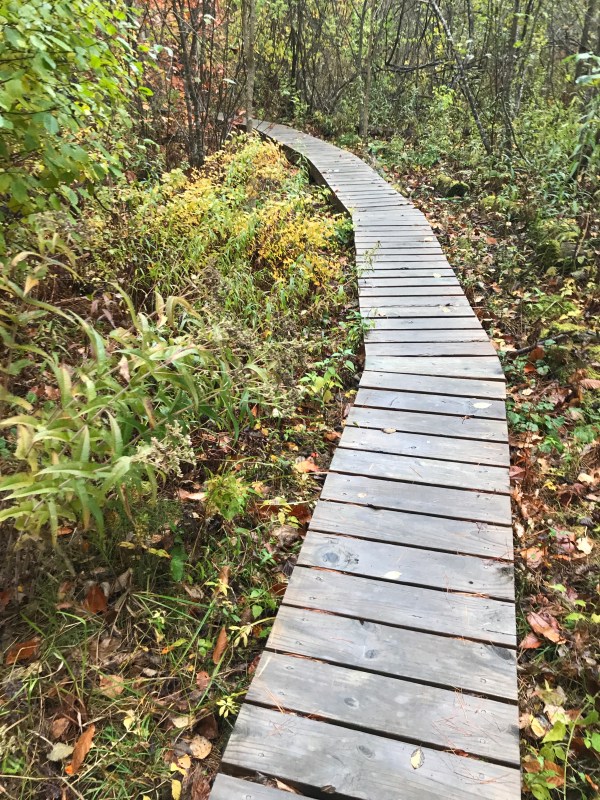 Trail Surveys and Standards – Norwich Trails